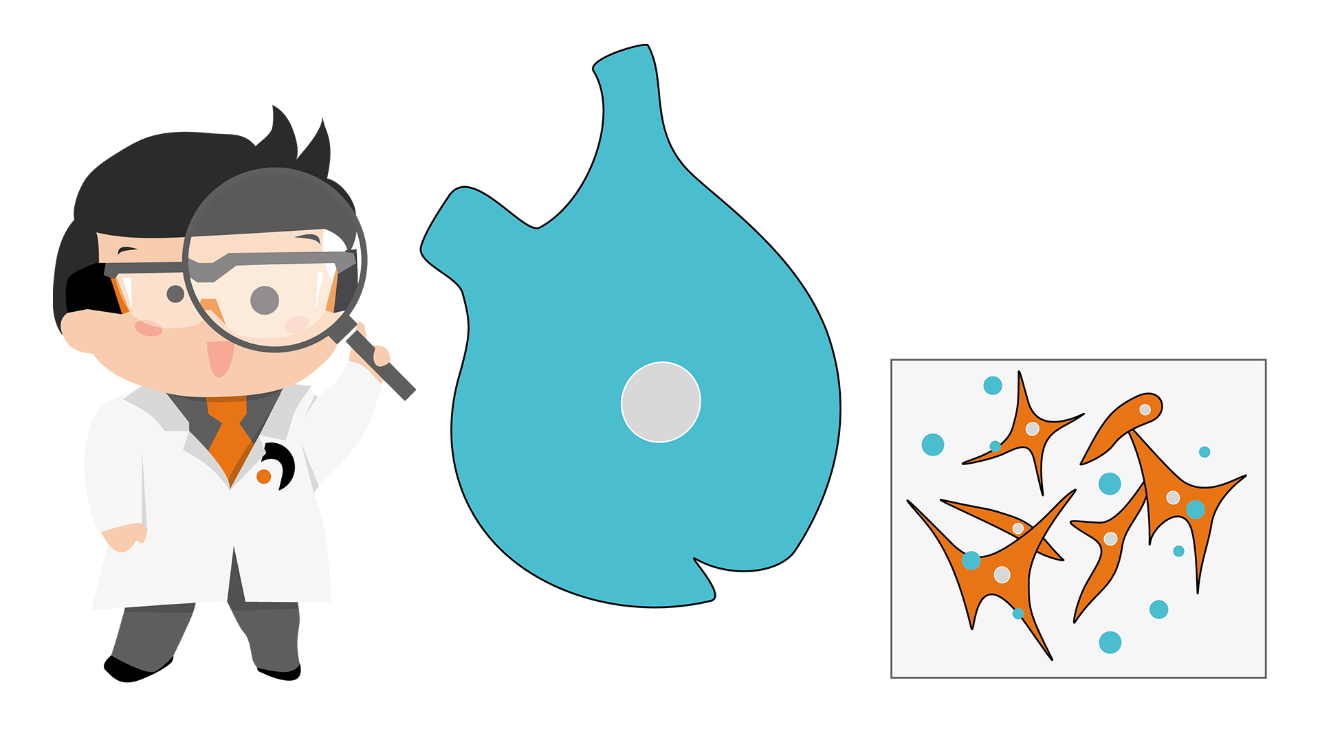What is cell culture and how does the 2D-method work? | Heidolph EMEA ... What is cell culture and how does the 2D-method work? | Heidolph EMEA ...